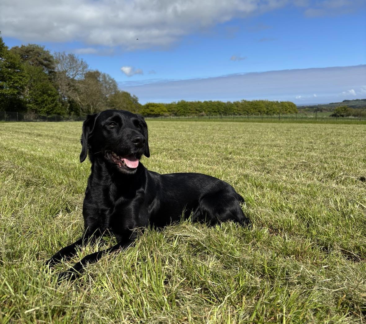 Alnwick Bark Park facilities | Alnwick Bark Park